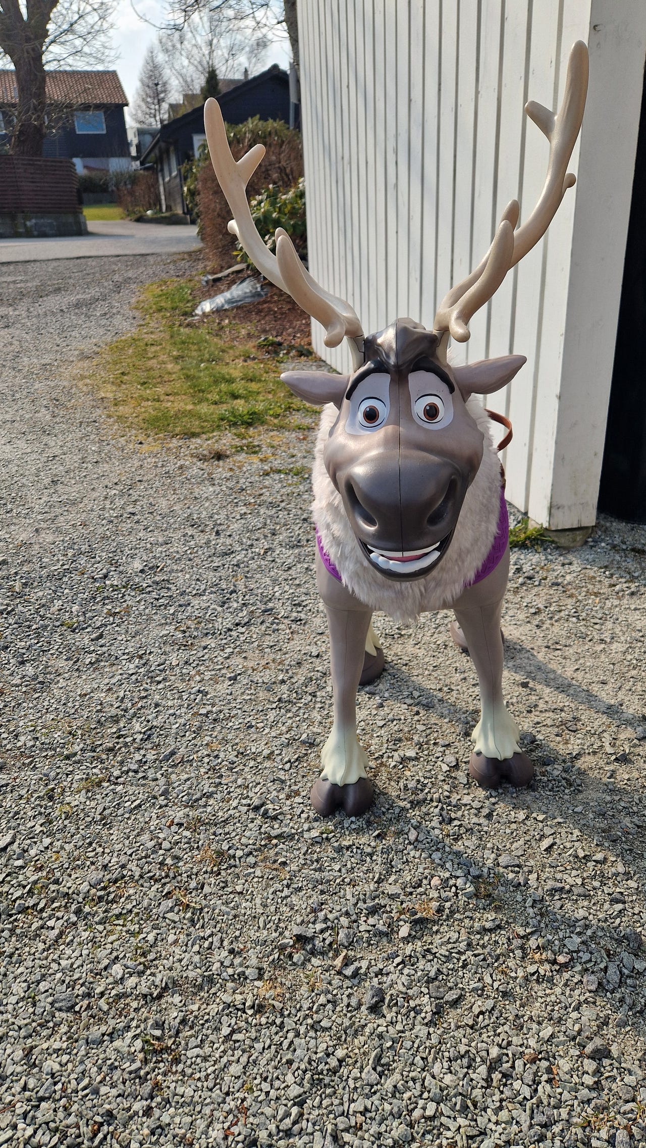 Sven fra frozen | FINN-torget