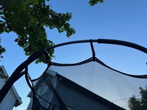 JumpKing, stor oval trampoline | FINN-torget