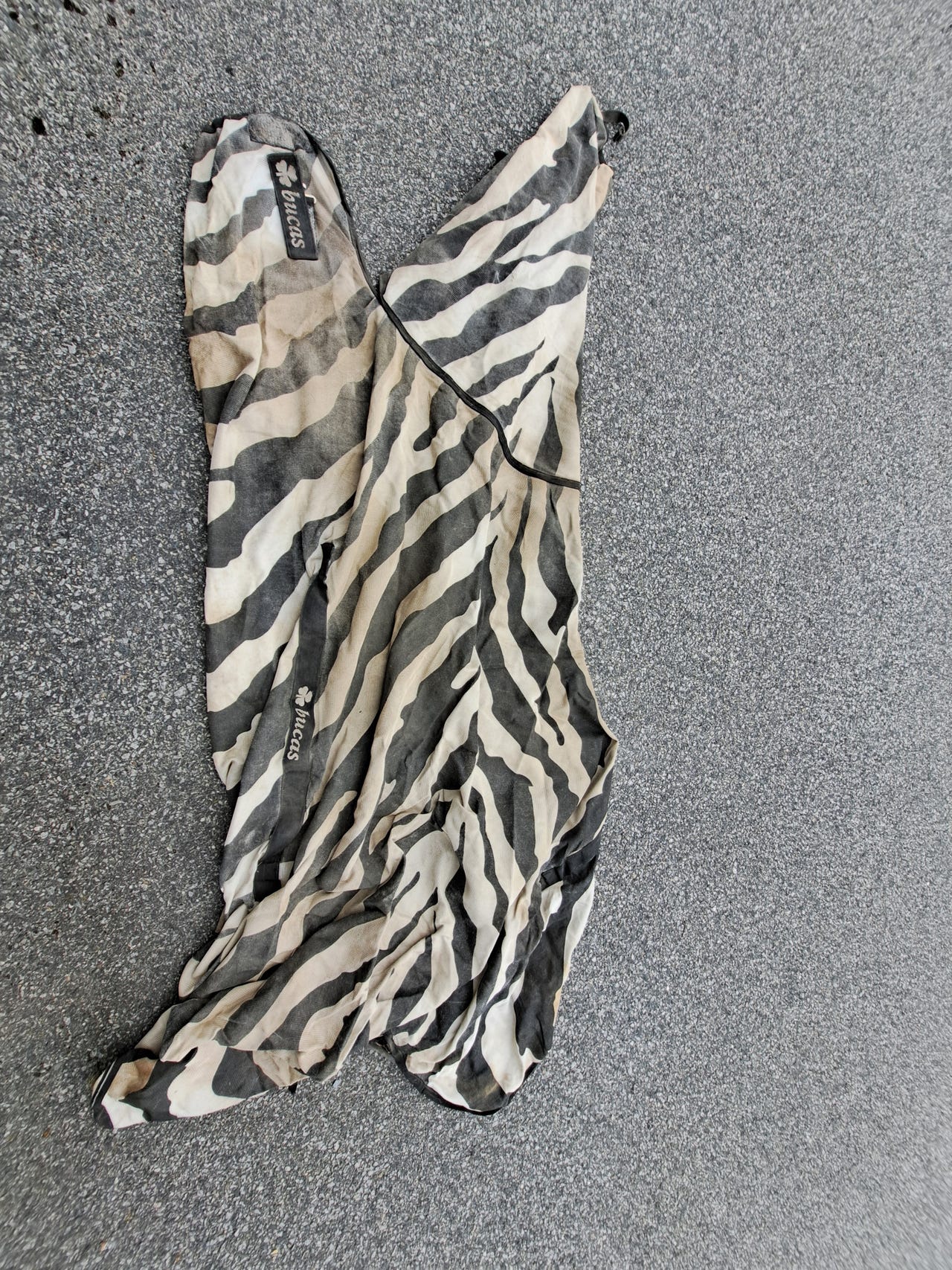 Bucas buzz off zebra insektsdekken | FINN-torget