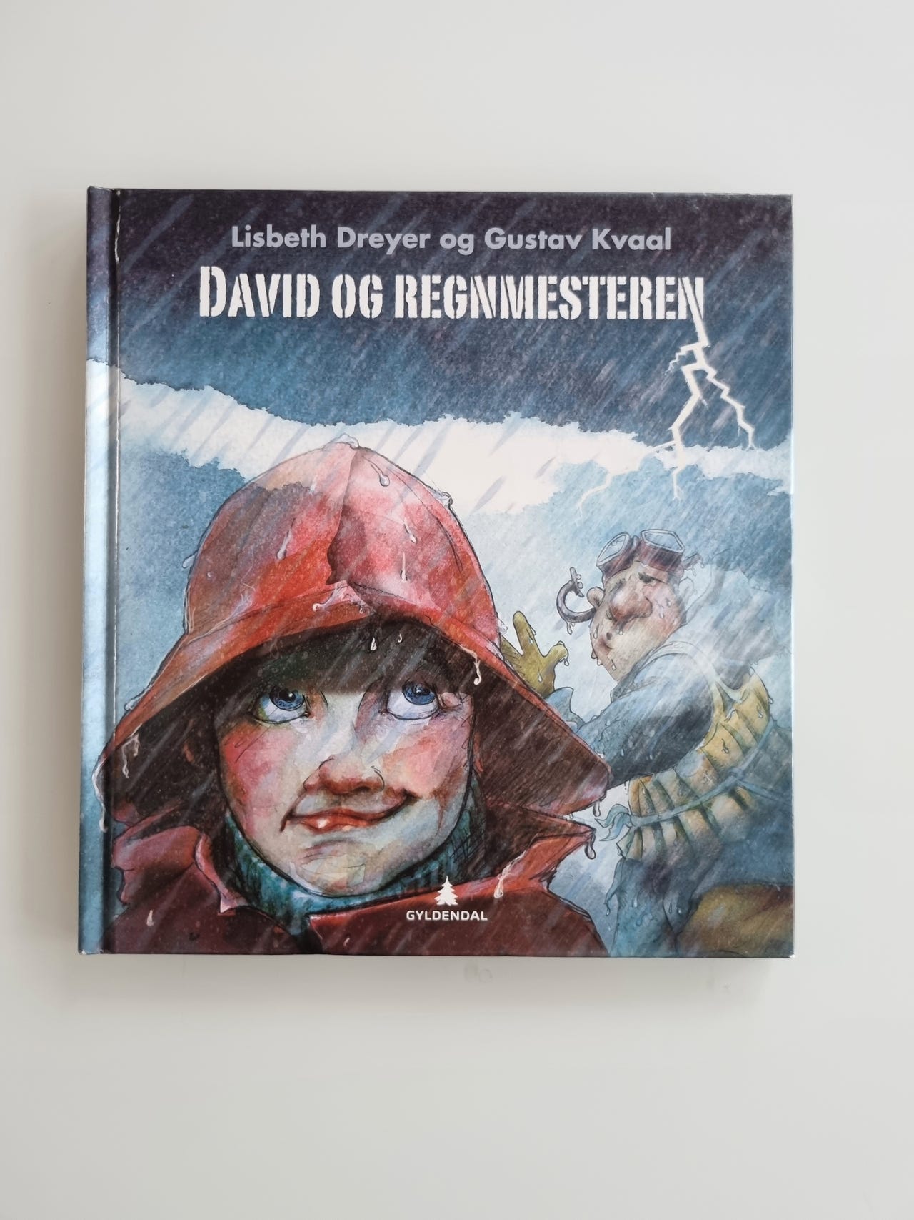 📚 David og regnmesteren. Billedbok | FINN-torget