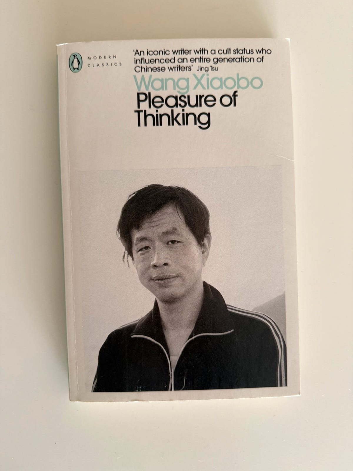 Pleasure of Thinking Av Wang Xiaobo | FINN-torget