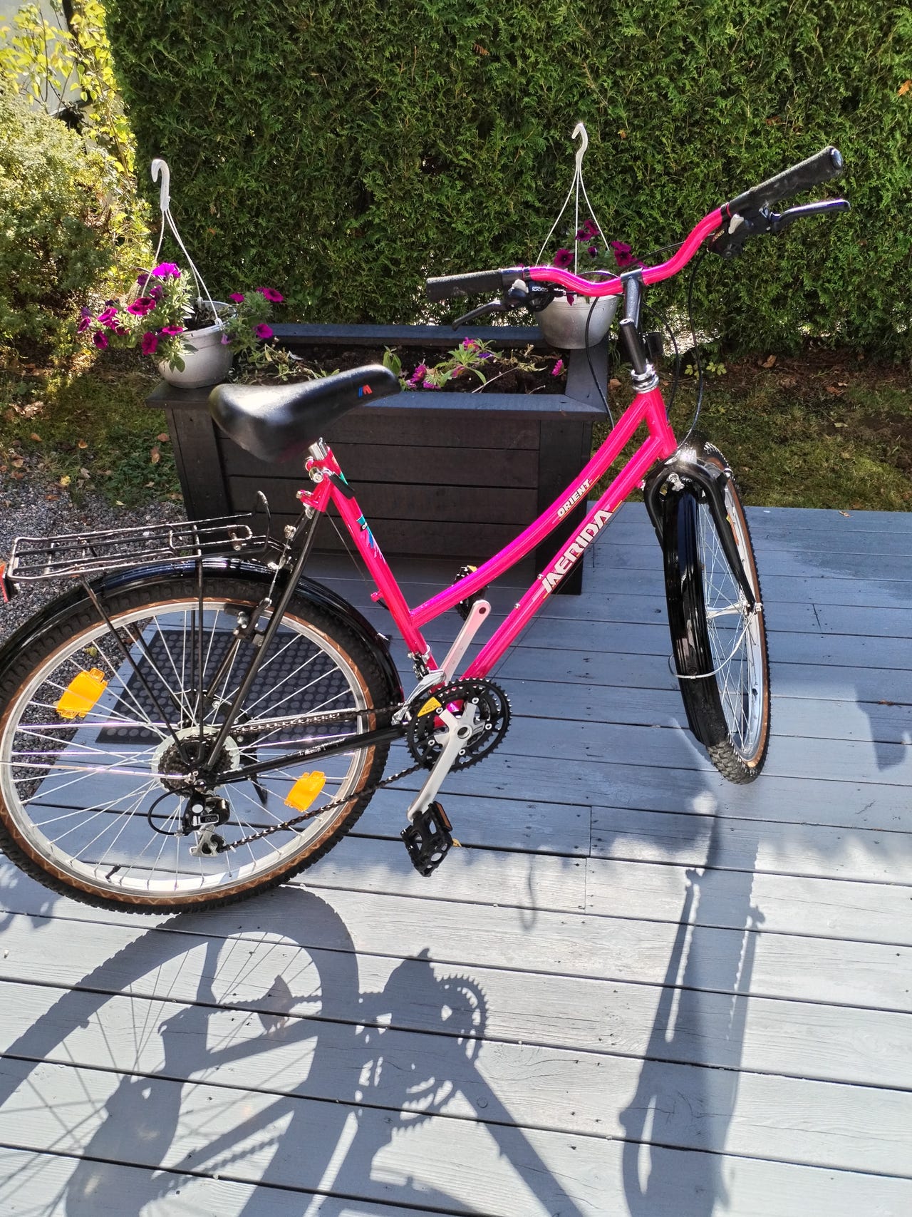 Merida 24" 26 Jente Sykkel Rosa Stål | FINN-torget