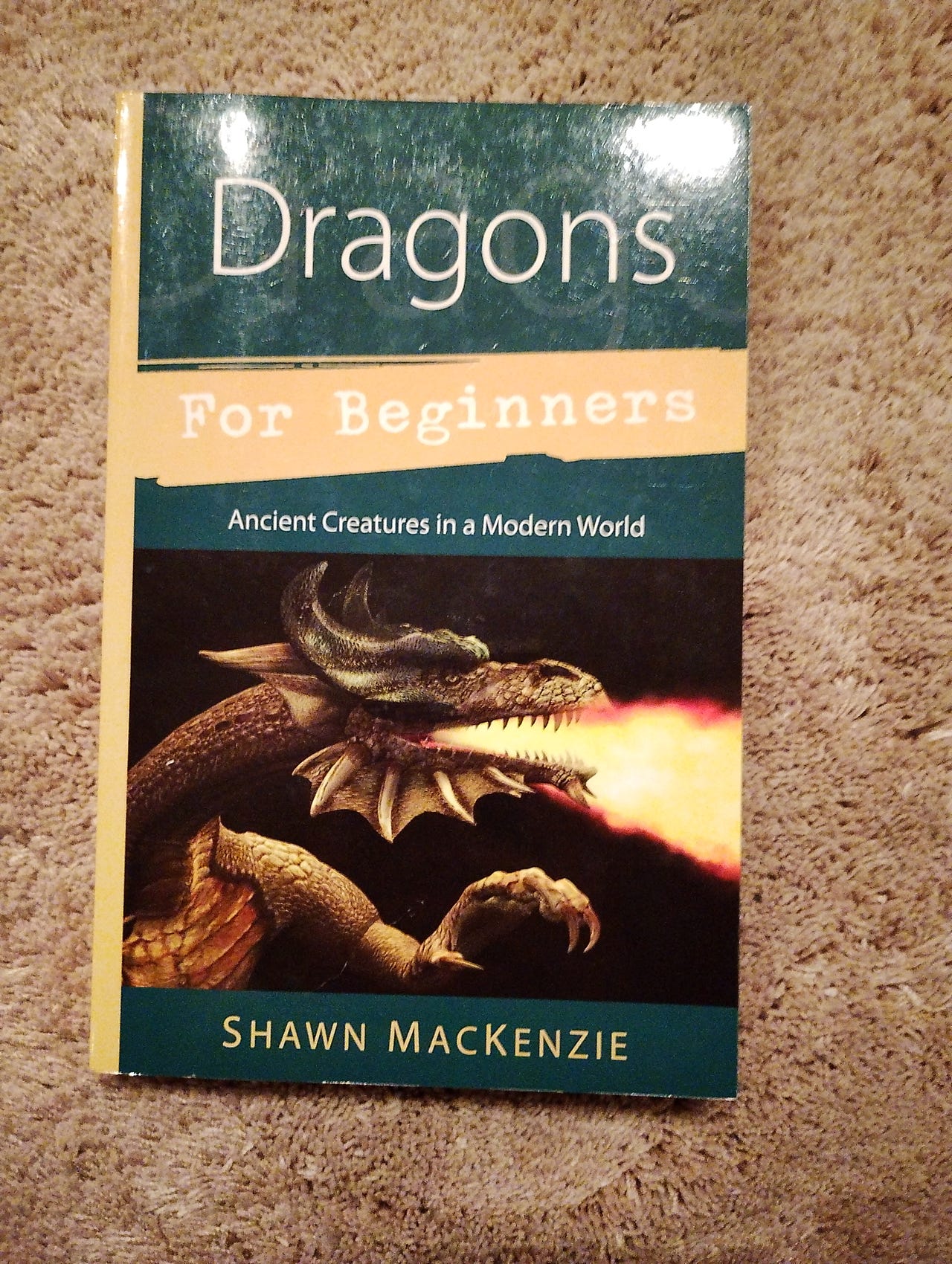 Dragons For Beginners - Shawn Mackenzie | FINN-torget