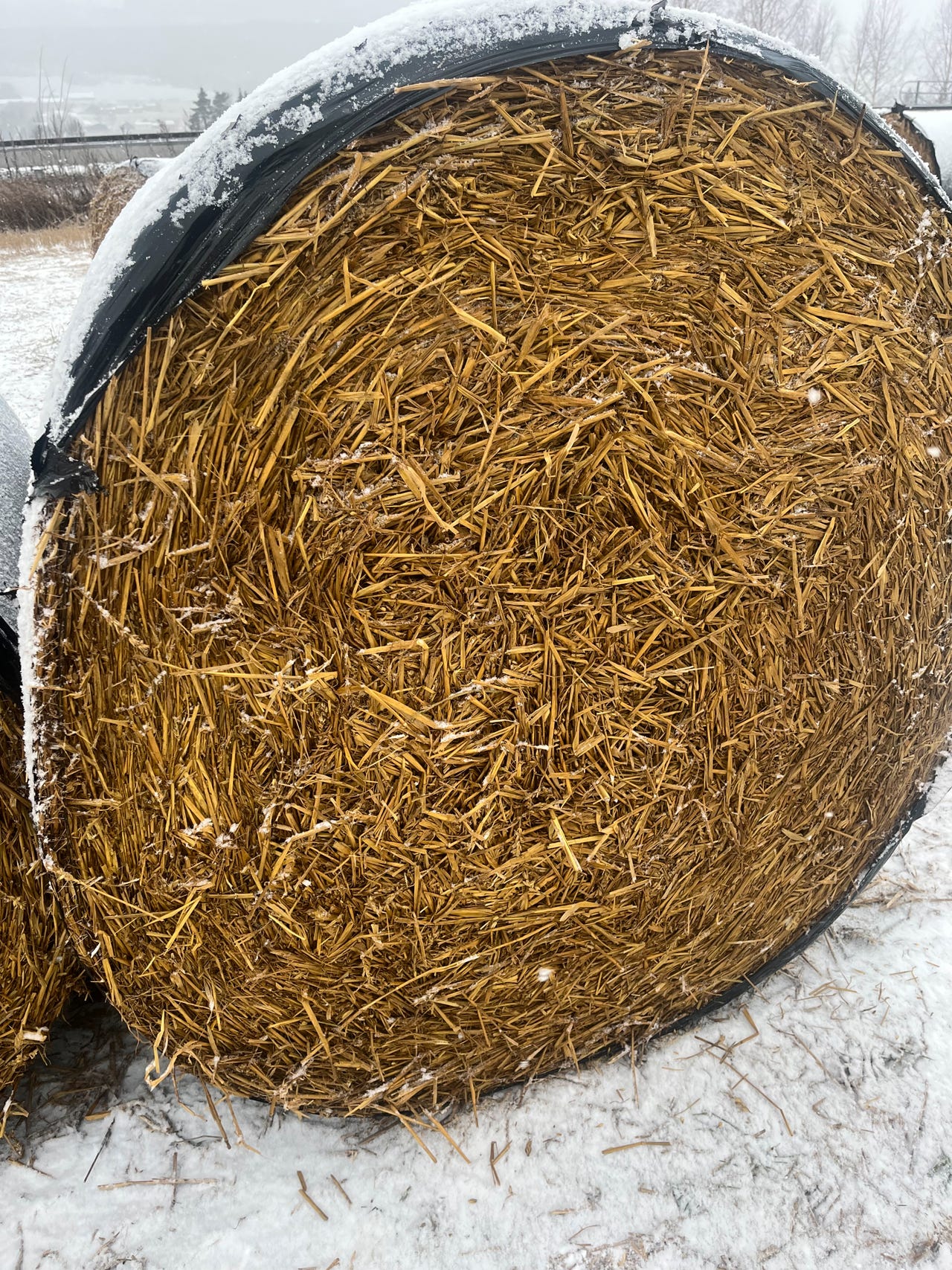 Ammoniakk behandlet halm | FINN-torget