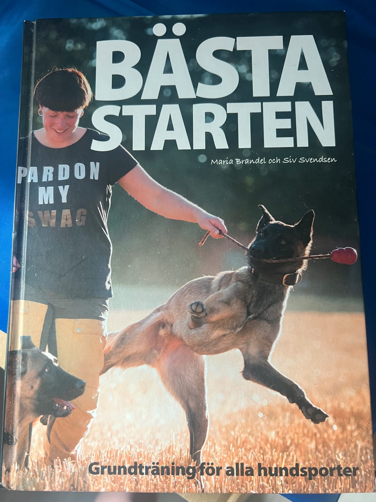 Maria Brandel Bästa Starten | FINN-torget