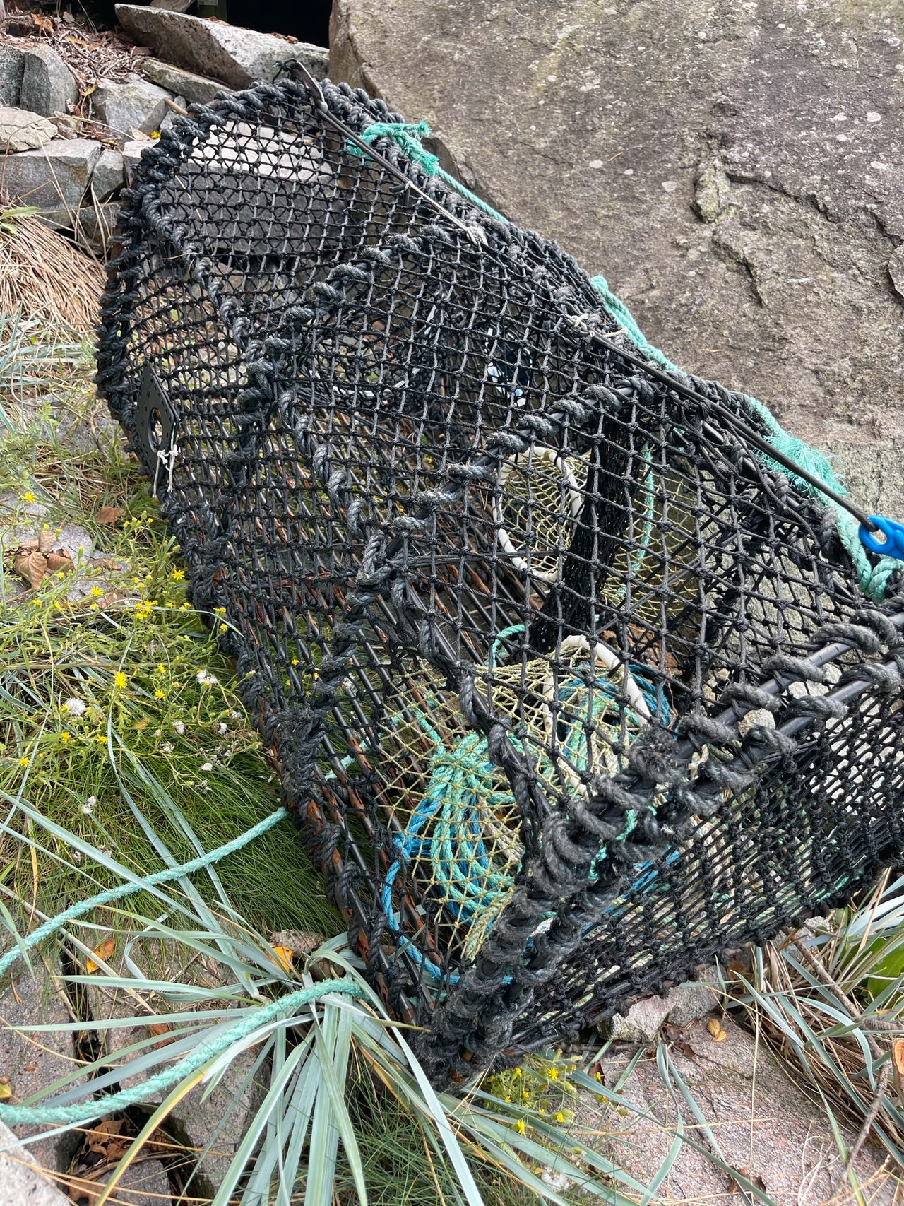 Fiskeredskap hummerteiner/krabbeteiner med Svart Nett | FINN-torget