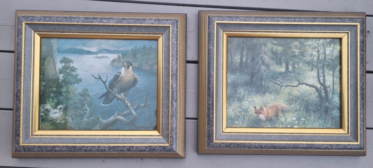 Ørn og rev Bilde av Jan Petter Bratsberg | FINN-torget