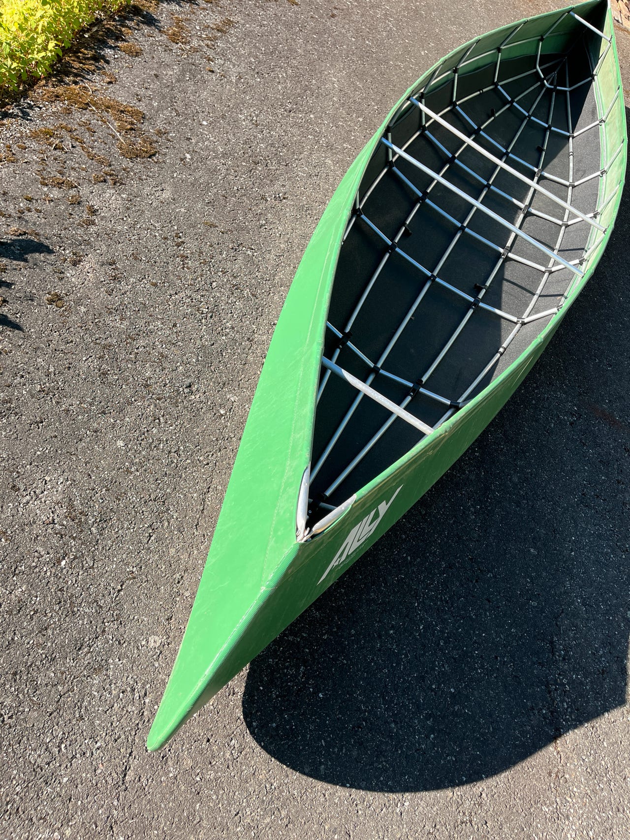 16,5 Knallfin ally | FINN-torget