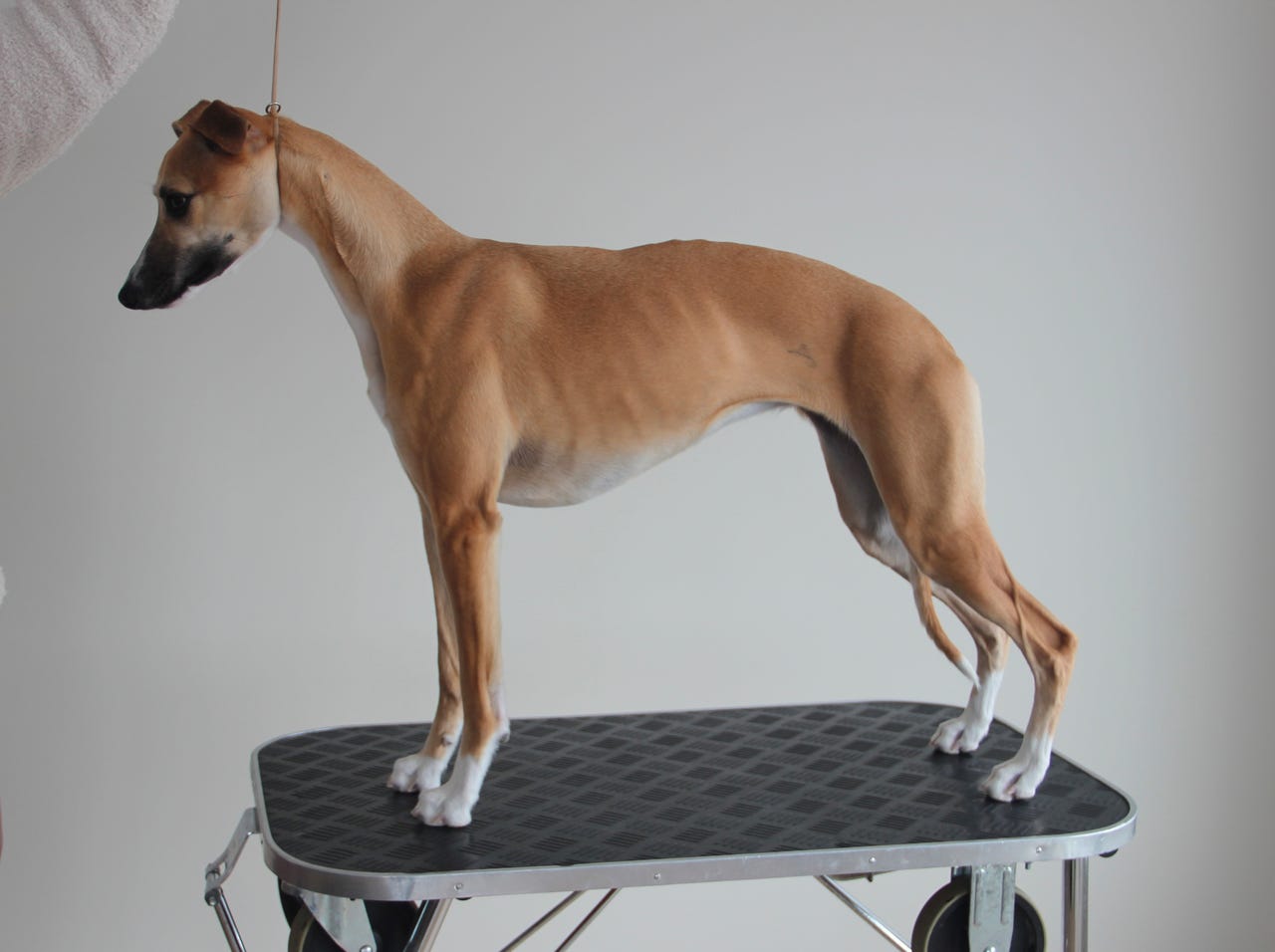 RESERVERT | Trimmebord/utstillingsbord | FINN-torget