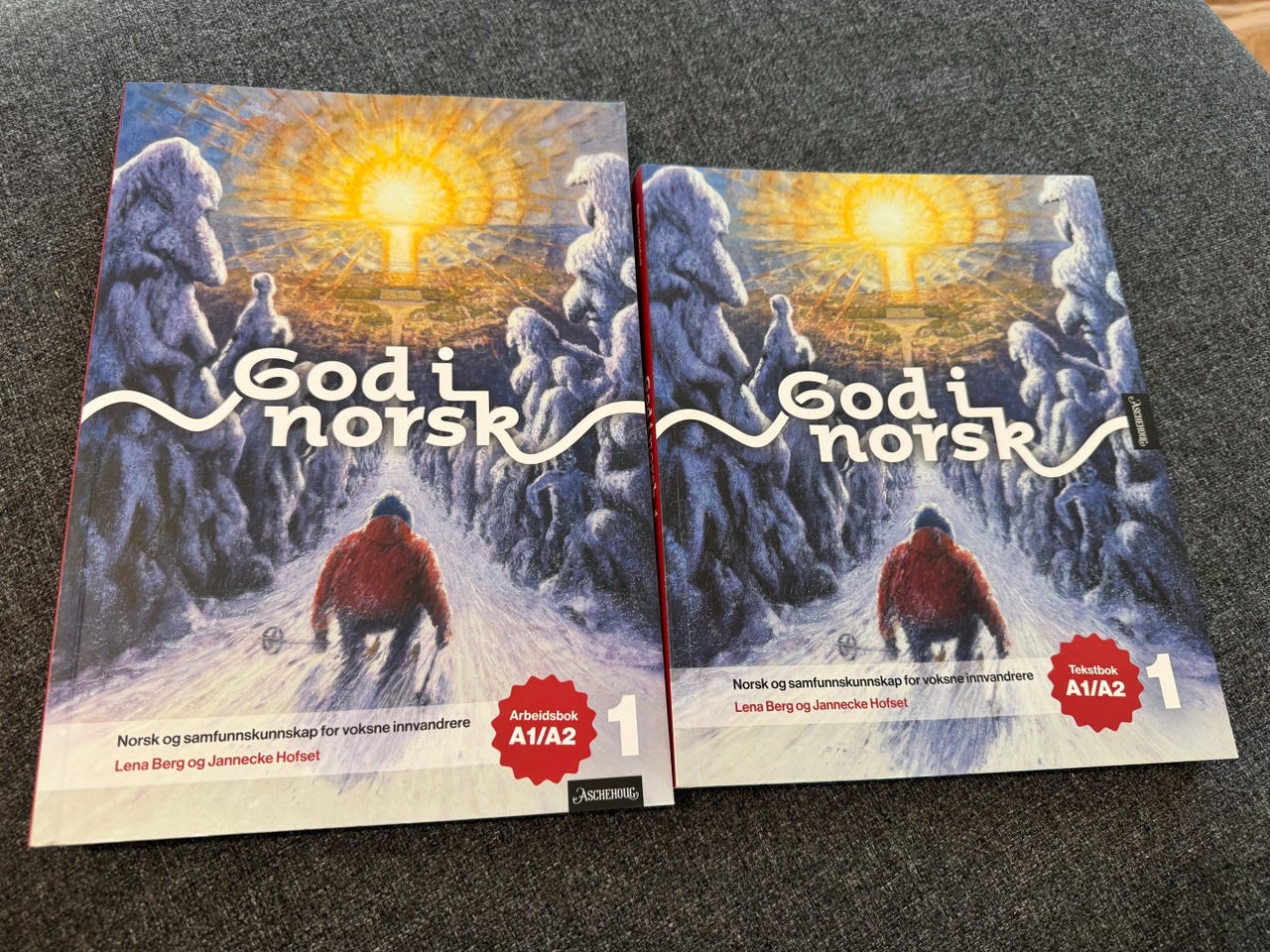 Bok og arbeidsbok God i norsk | FINN-torget