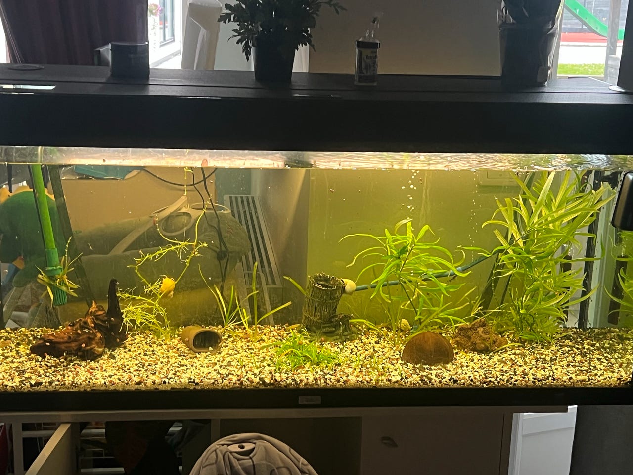 JUWEL akvarium med filter Am top 1200/T, varmekolbe og luftpumpe 2 ...