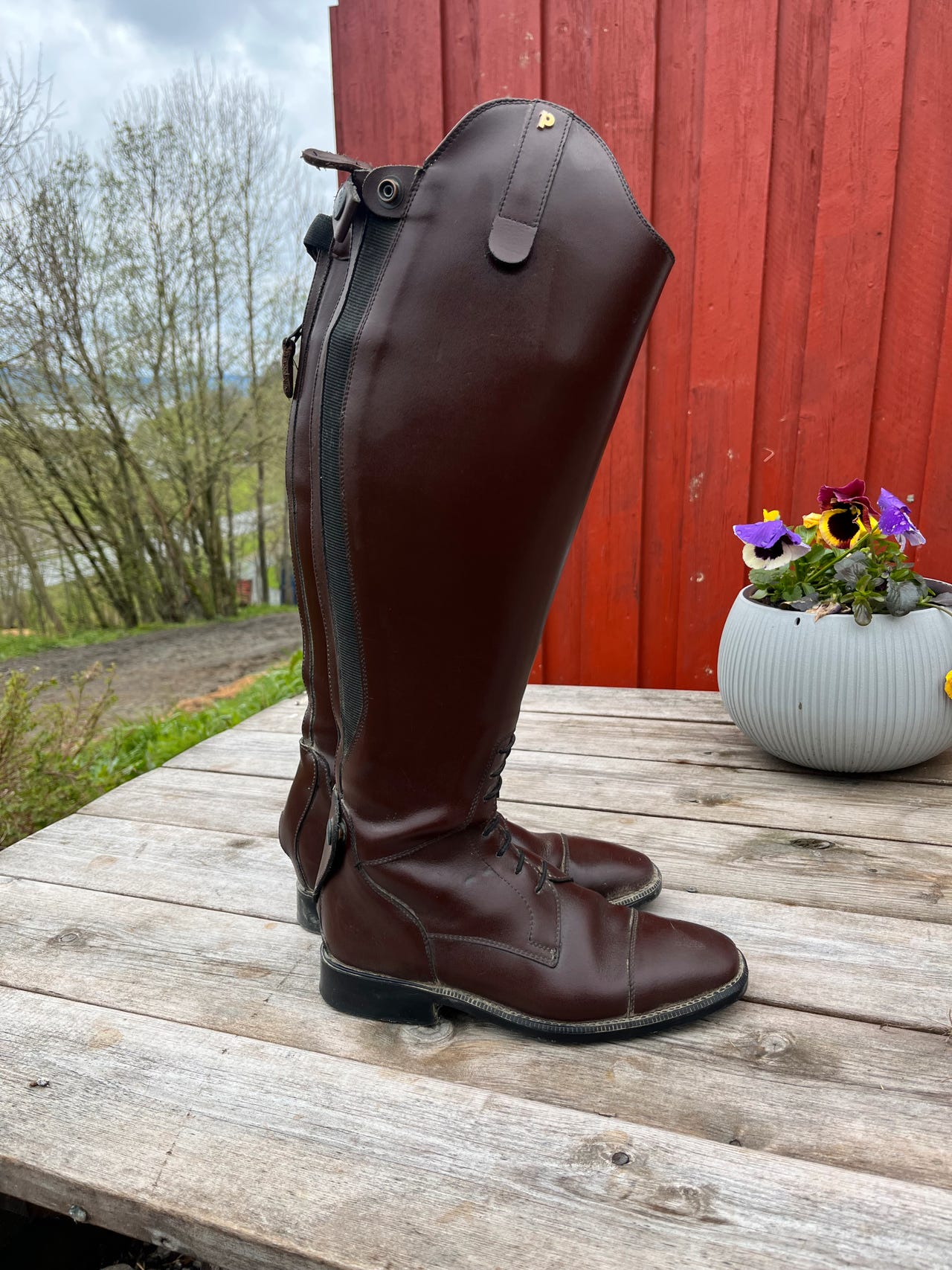 Petrie ridestøvler | FINN-torget