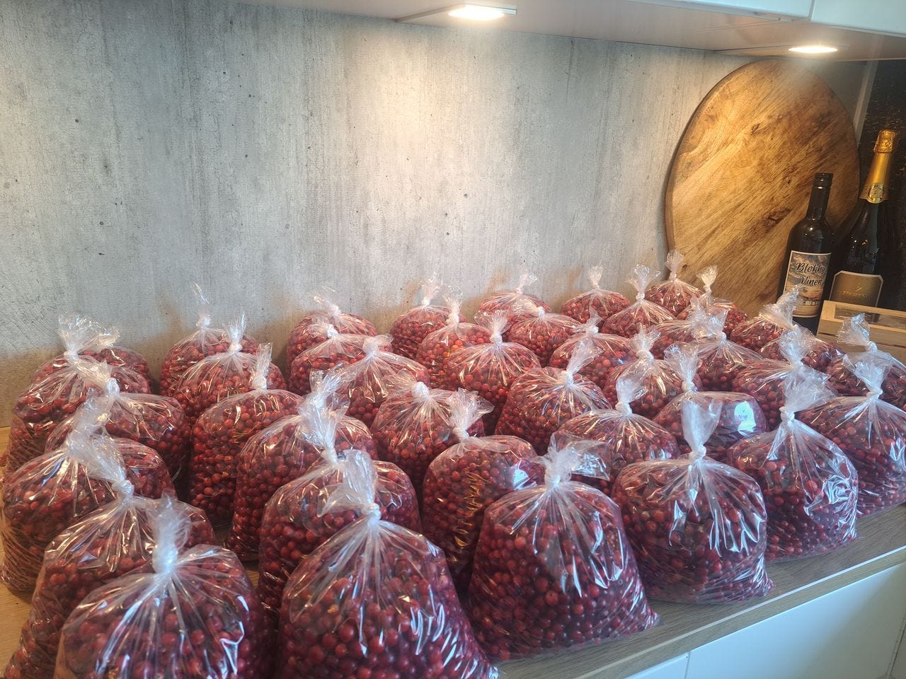 Tyttebær rett fra skogen | FINN-torget