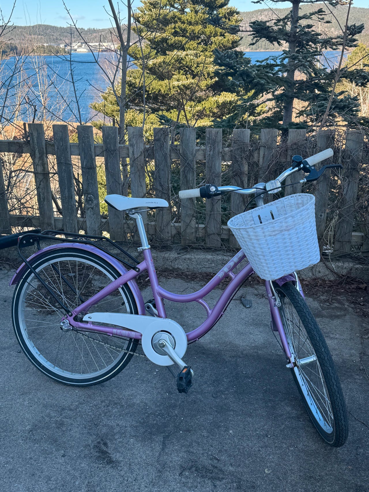 DBS sykkel | FINN-torget