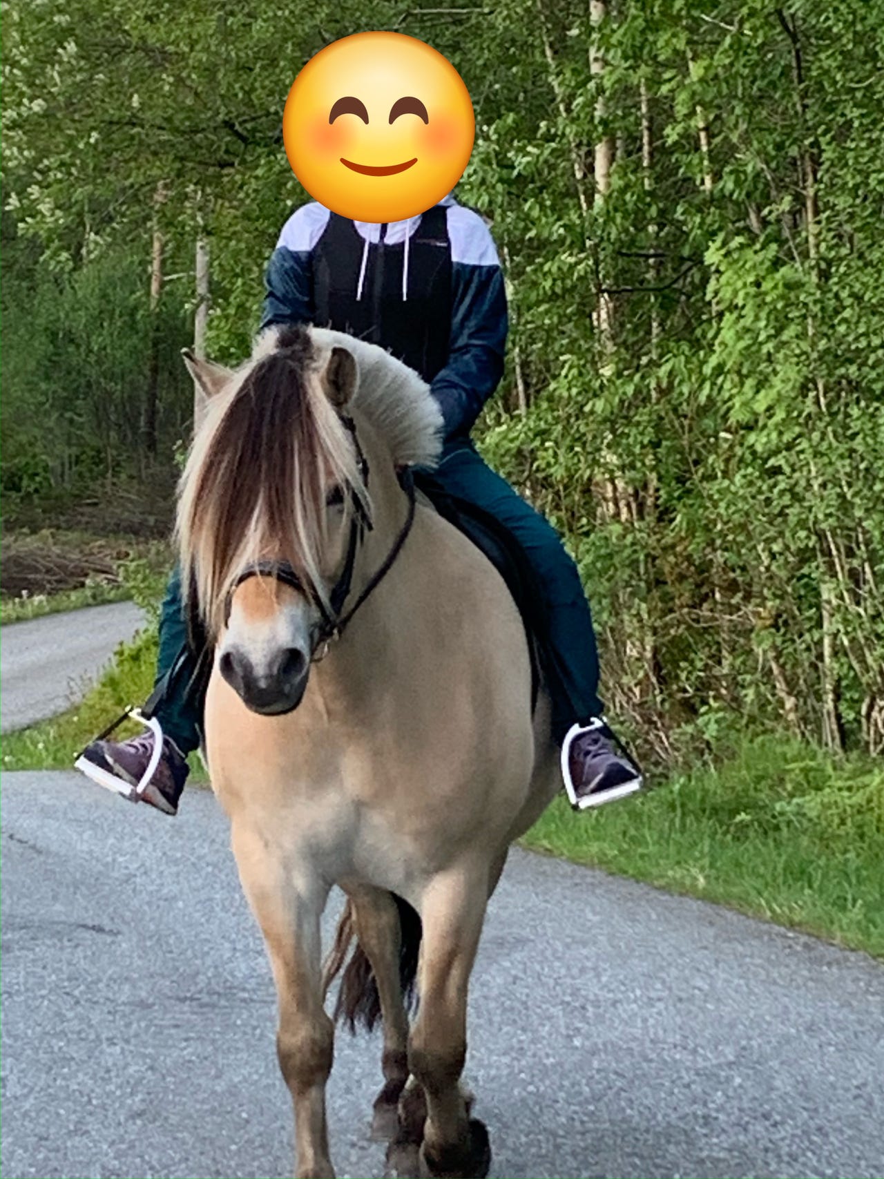 Fjording søker forrytter | FINN-torget