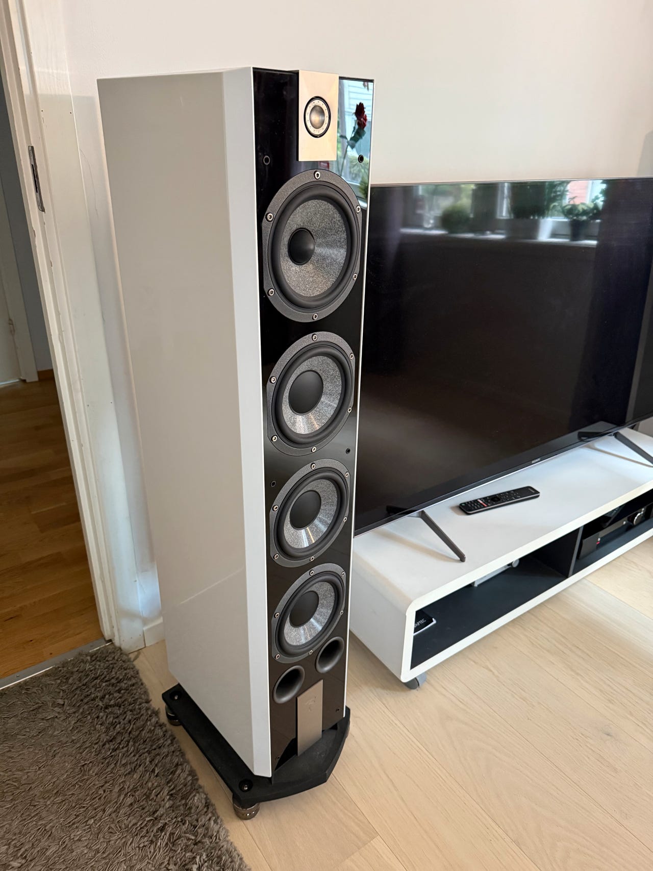 Focal 836W SE | FINN-torget