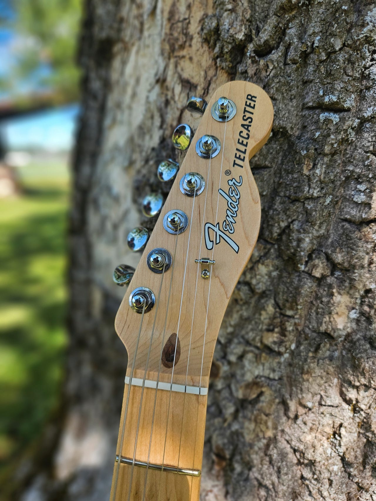 Fender Telecaster USA Performer HS -siste pris! | FINN-torget