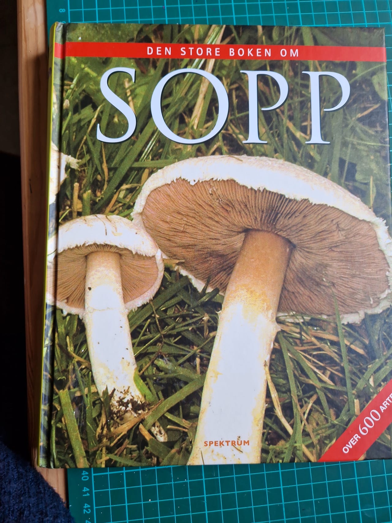 Den store boken om sopp | FINN-torget