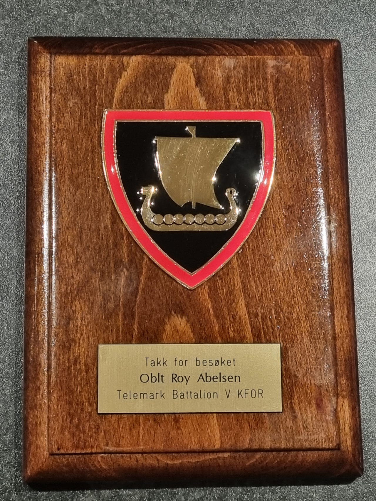 Telemark Bataljon V KFOR | FINN-torget