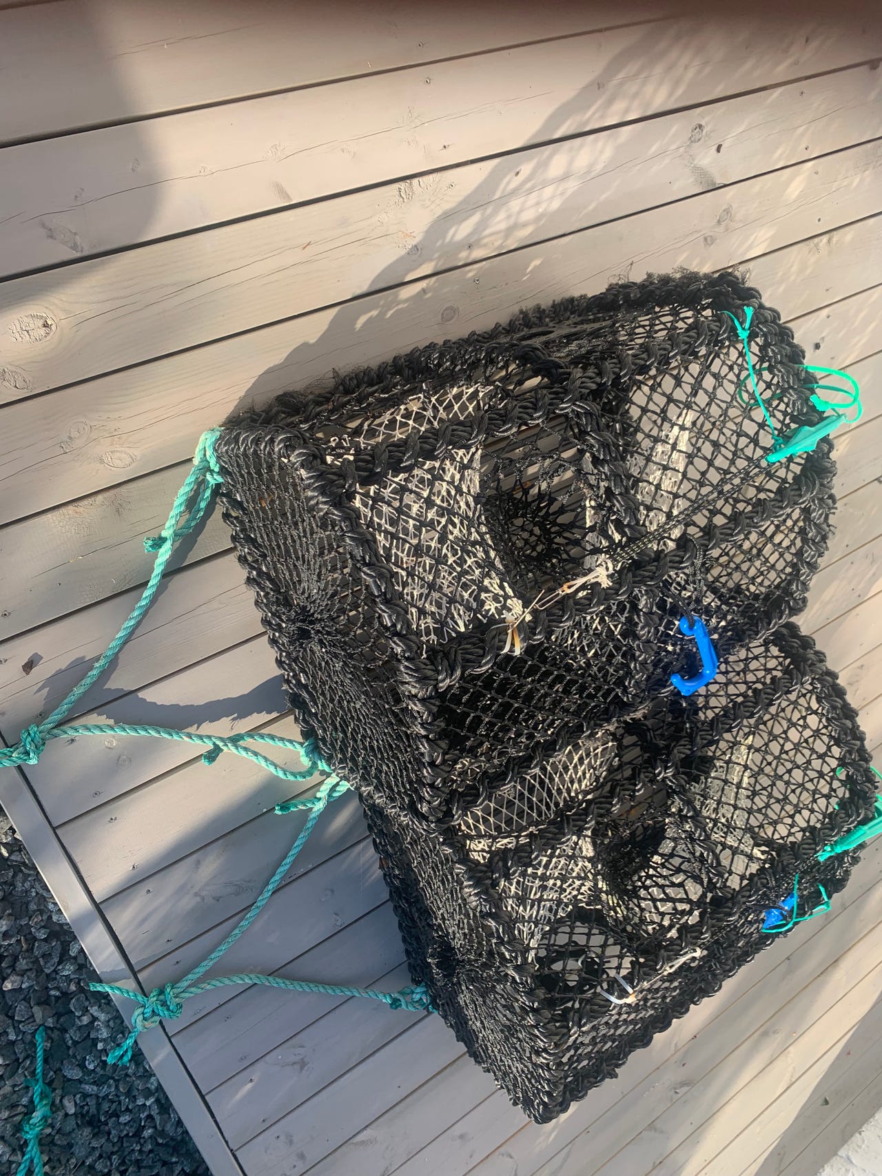 Krabbeteiner/ hummerteiner | FINN-torget