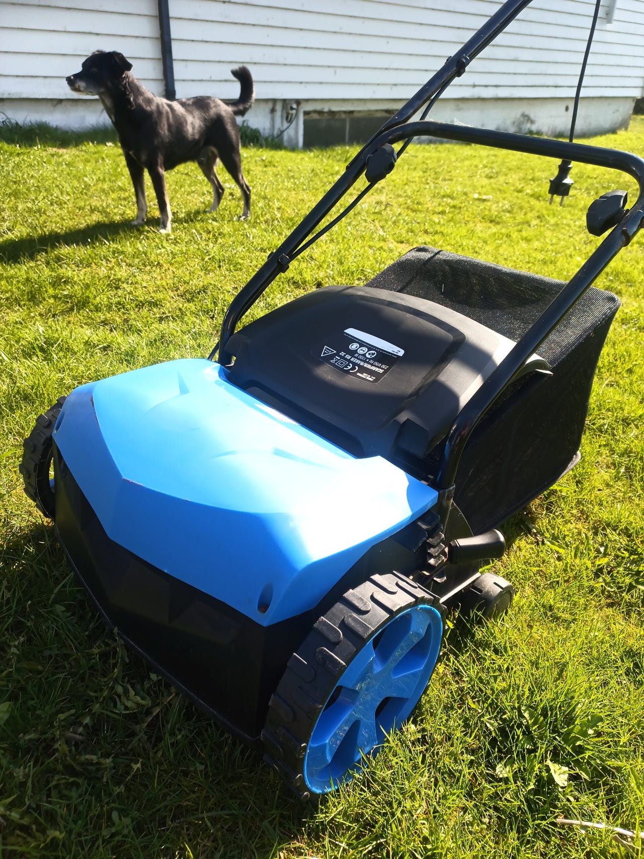 Mosefjerner / Plenlufter te leie | FINN-torget