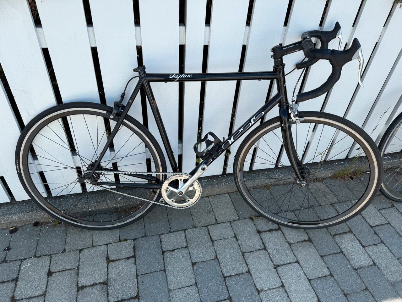 Genesis skyline singlespeed | FINN-torget