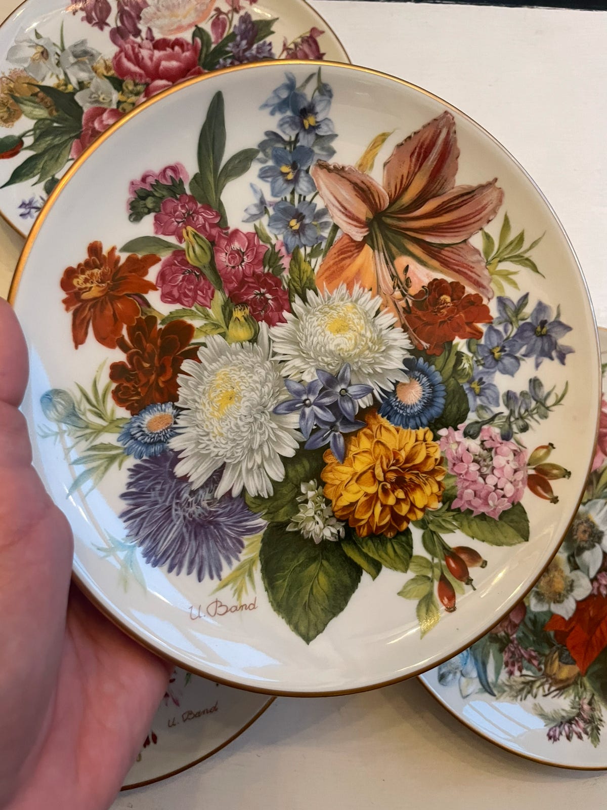 HUTSCHENREUTHER Ursula Band Collector Plate 8stk | FINN-torget