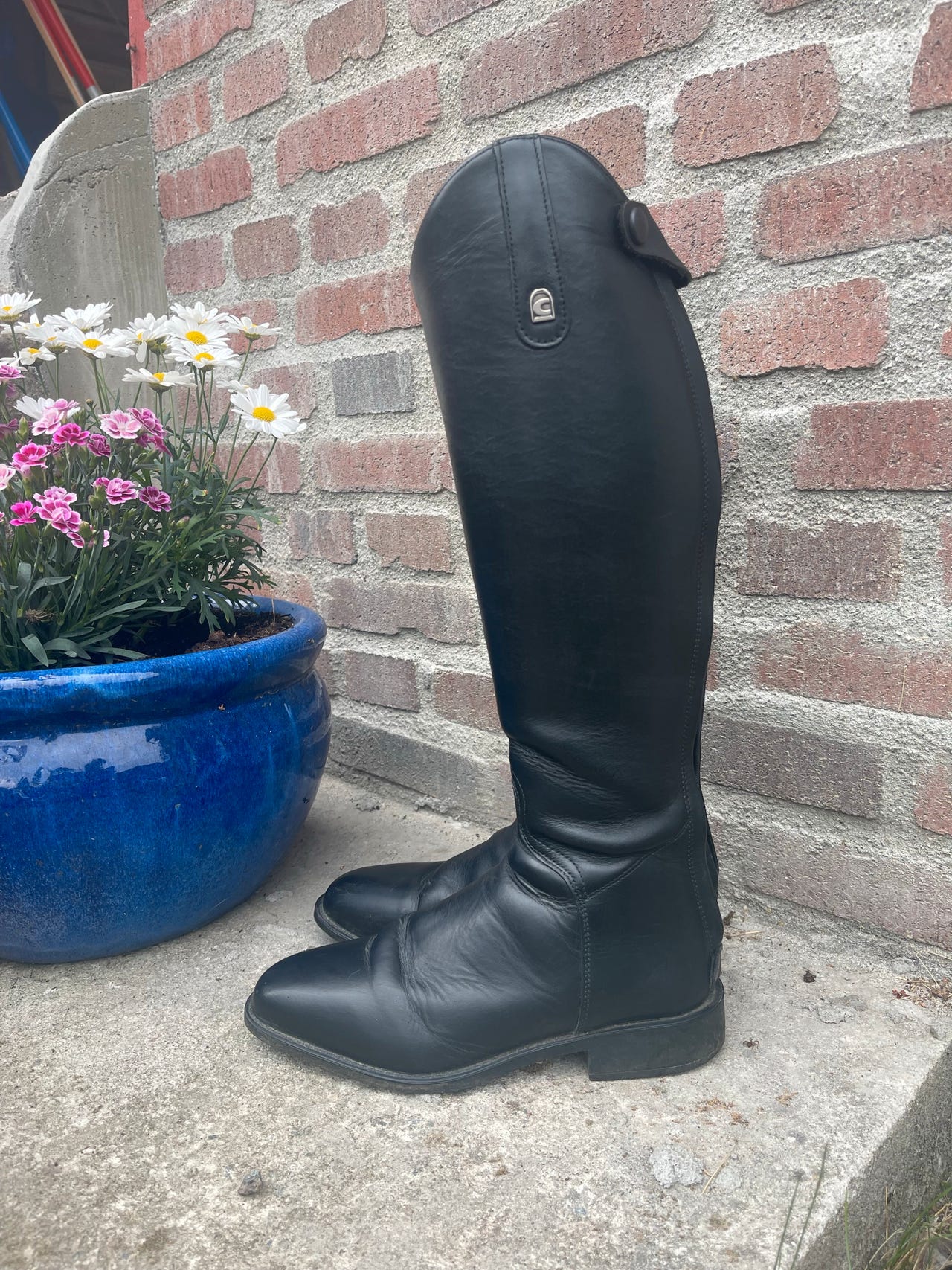 Cavallo ridestøvler str 36 | FINN-torget