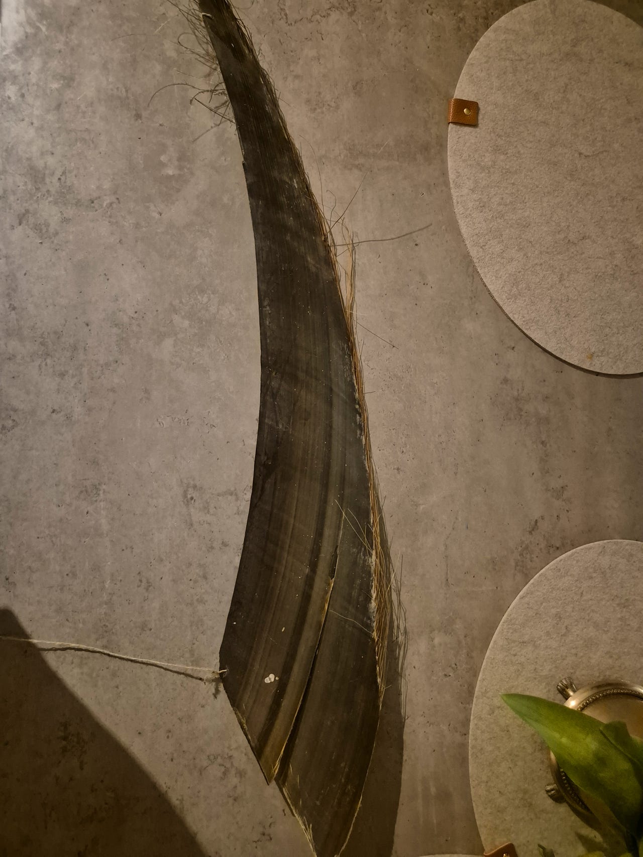 Hval barde | FINN-torget