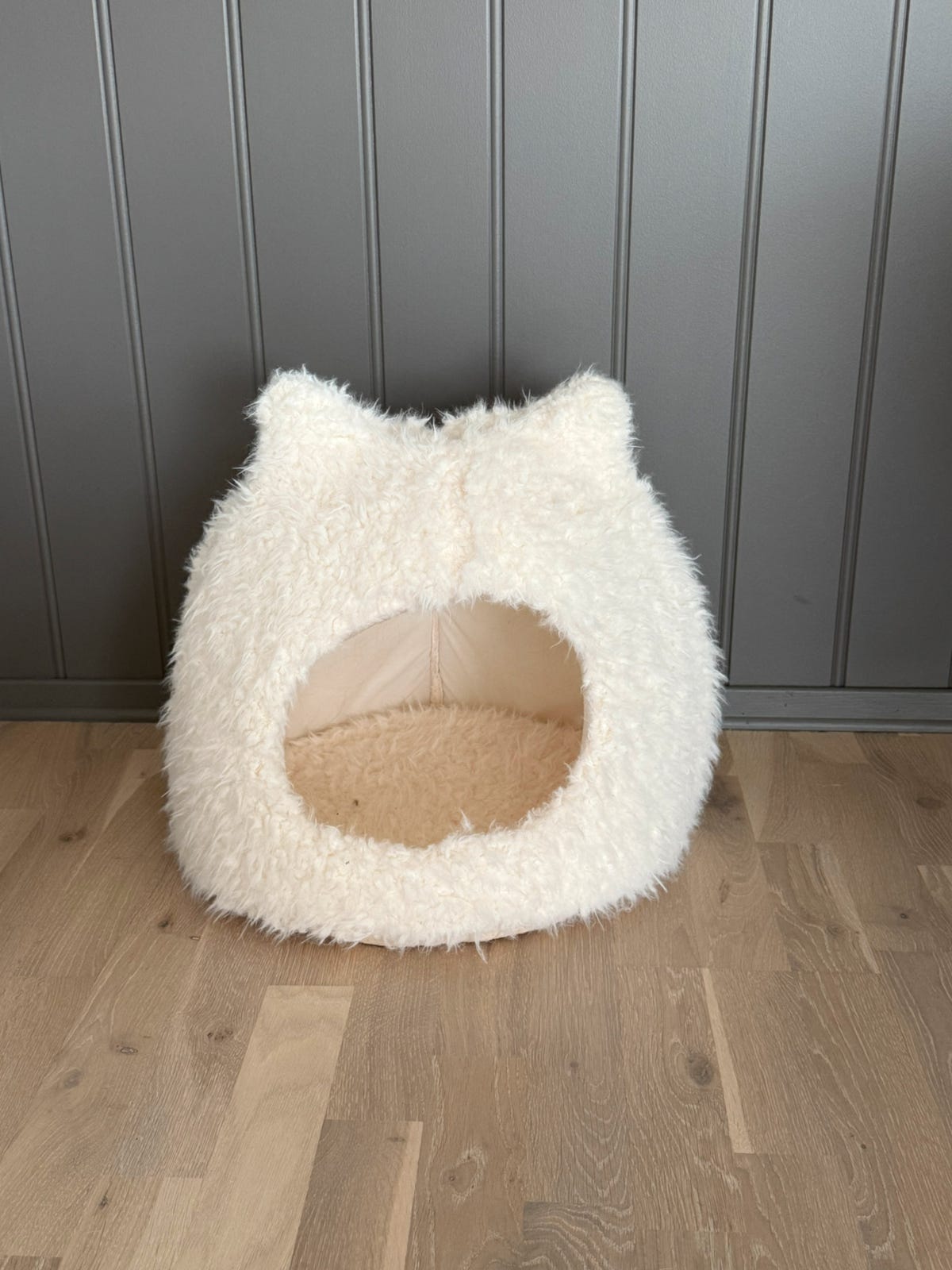 Kattehule | FINN-torget