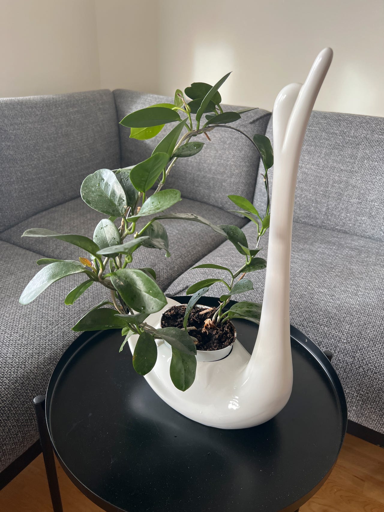 Ceramic pot of swan with plant | FINN-torget