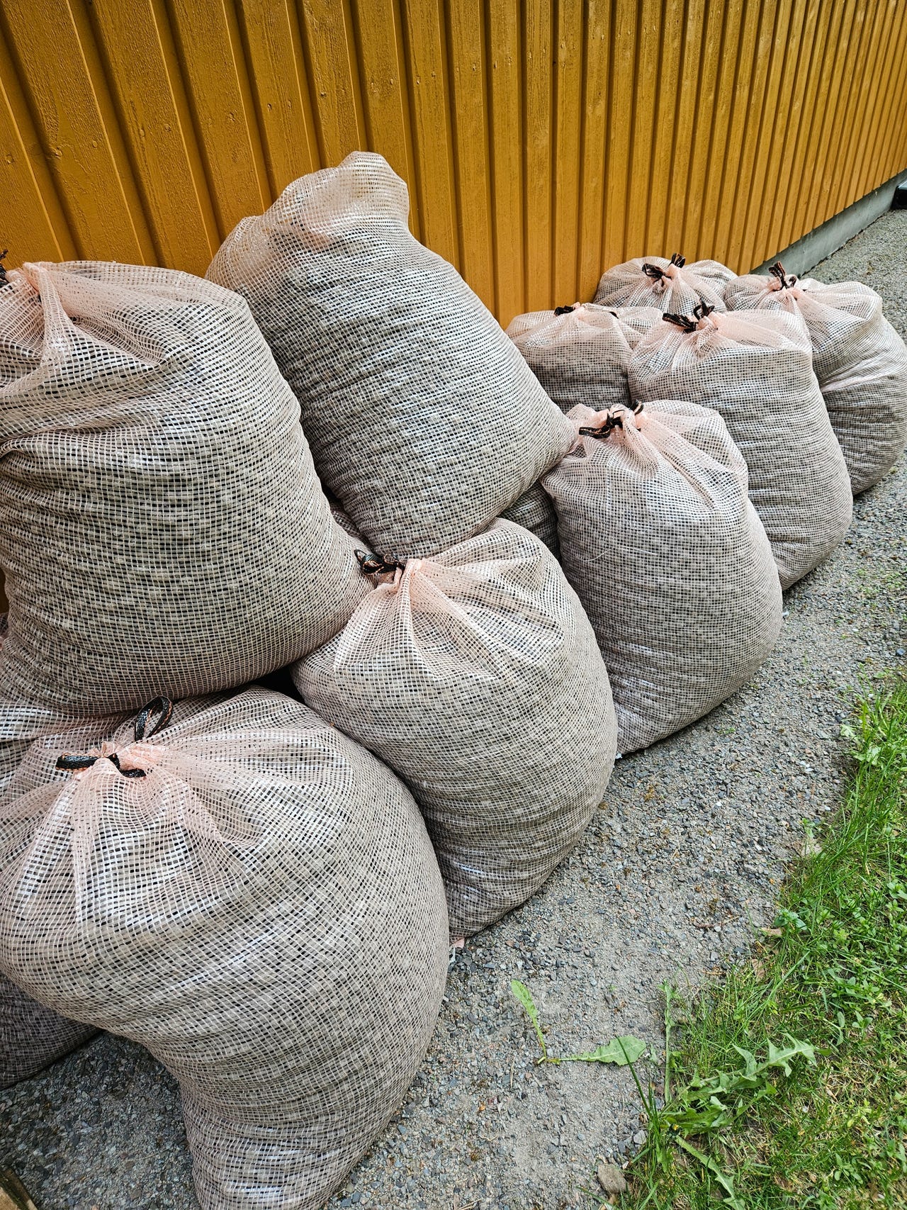 Lecakuler i 50 liters sekker. Ypperlig til høy plantekasse | FINN-torget