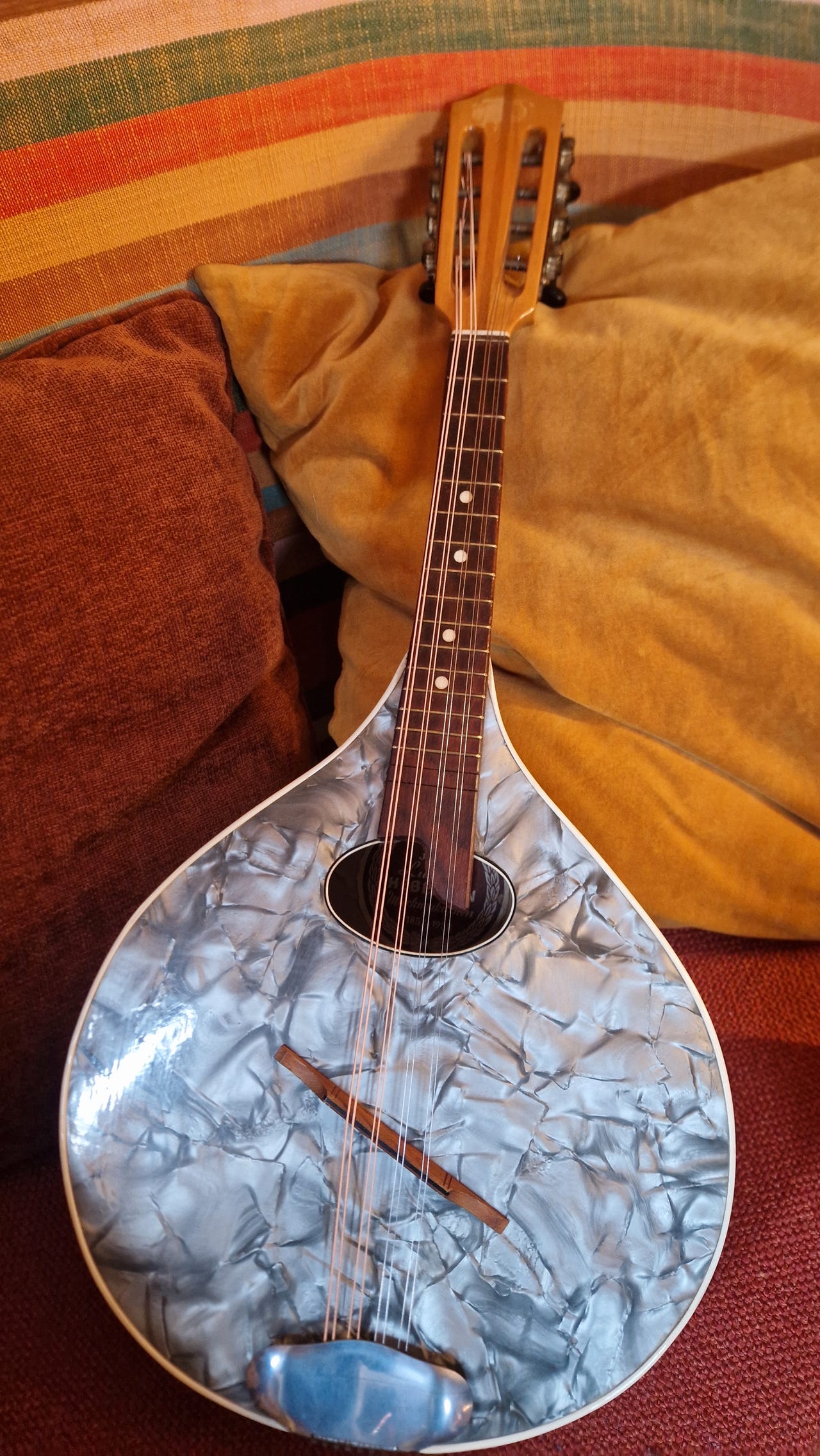 Vintage Ludwig Mandolin | FINN-torget