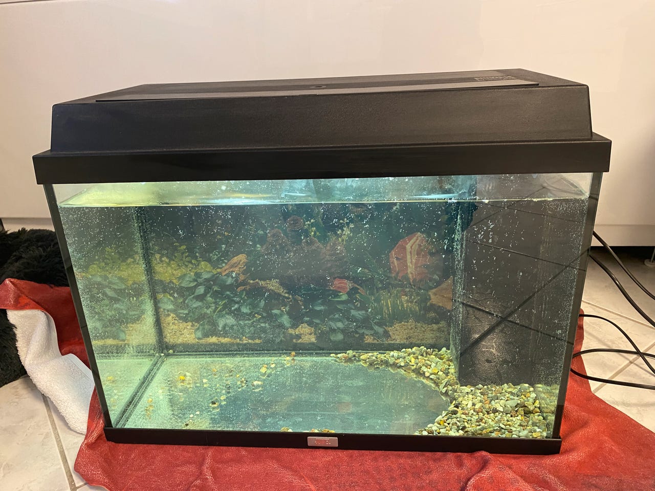 Juwel Monolux 80 Akvarium Svart | FINN-torget