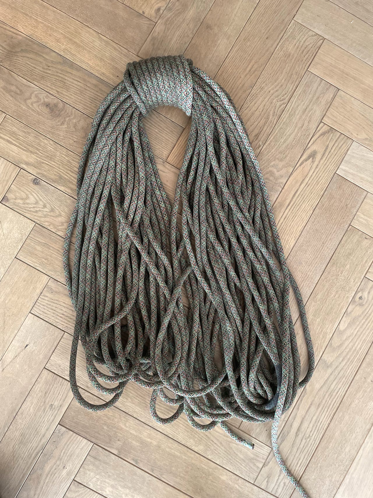 Edelrid Parrot 9,8 60m | FINN-torget