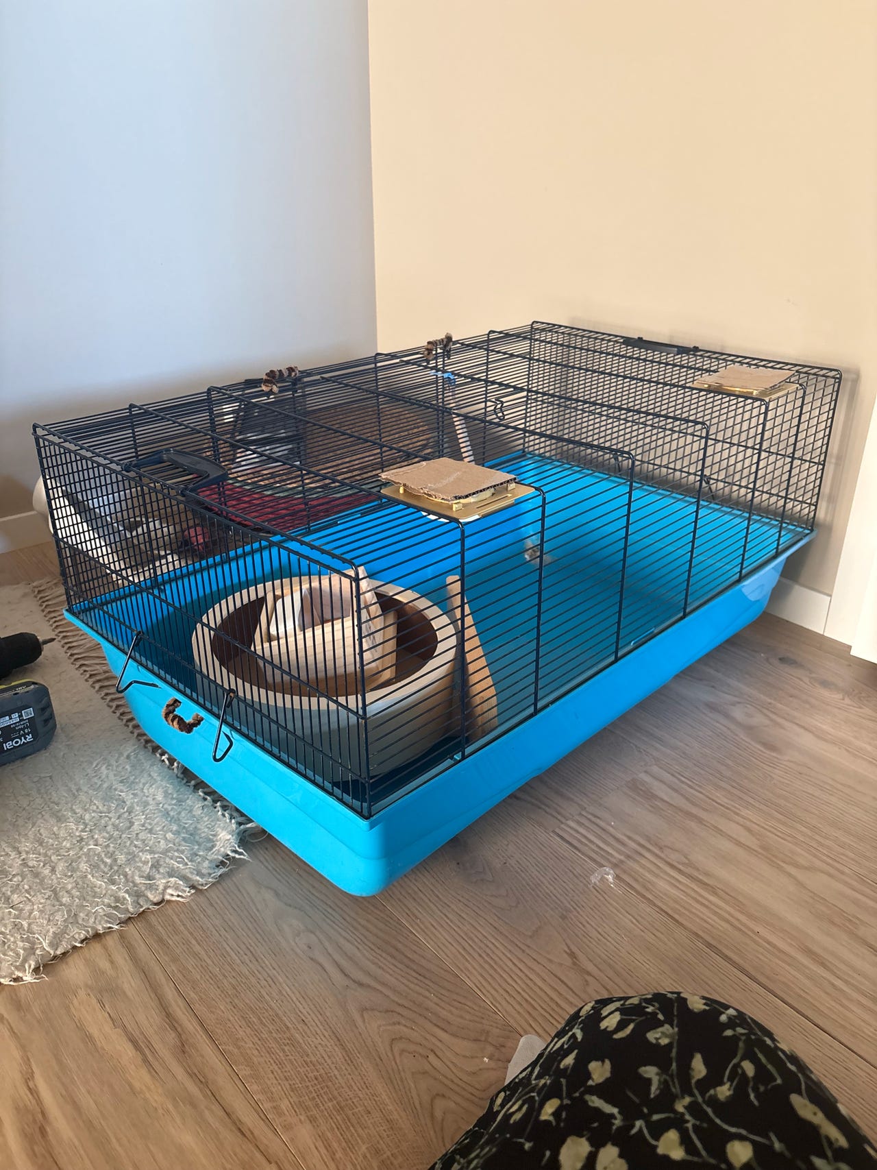 Hamster bur | FINN-torget