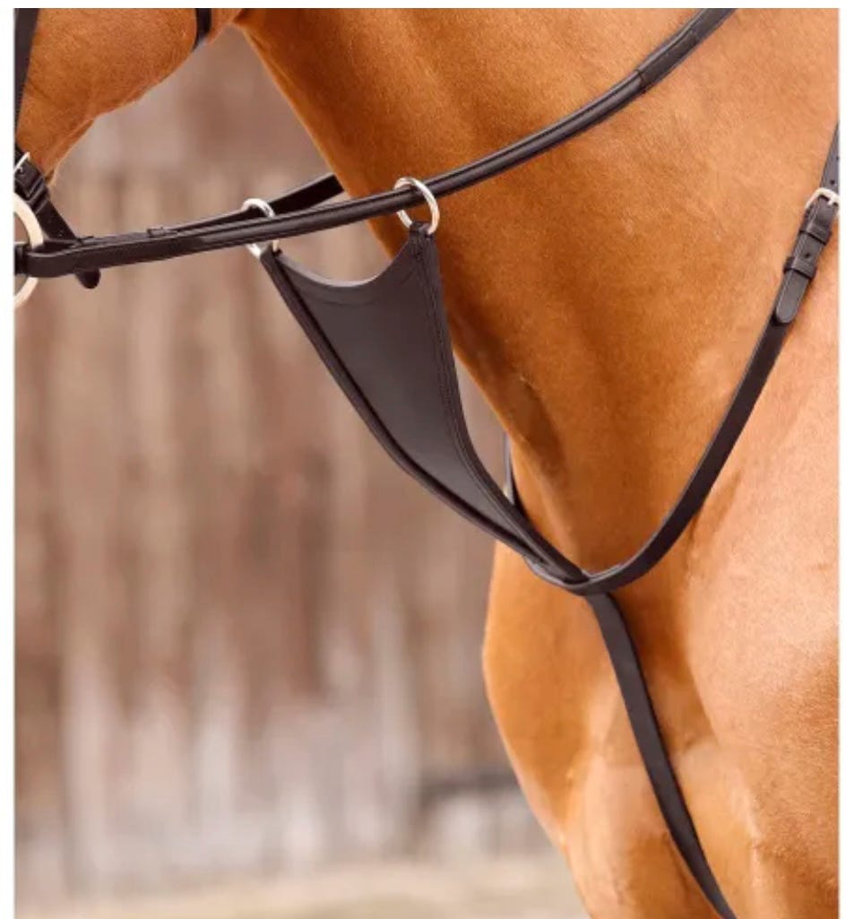 Ønsker å kjøpe FYLT MARTiNGAL | FINN-torget