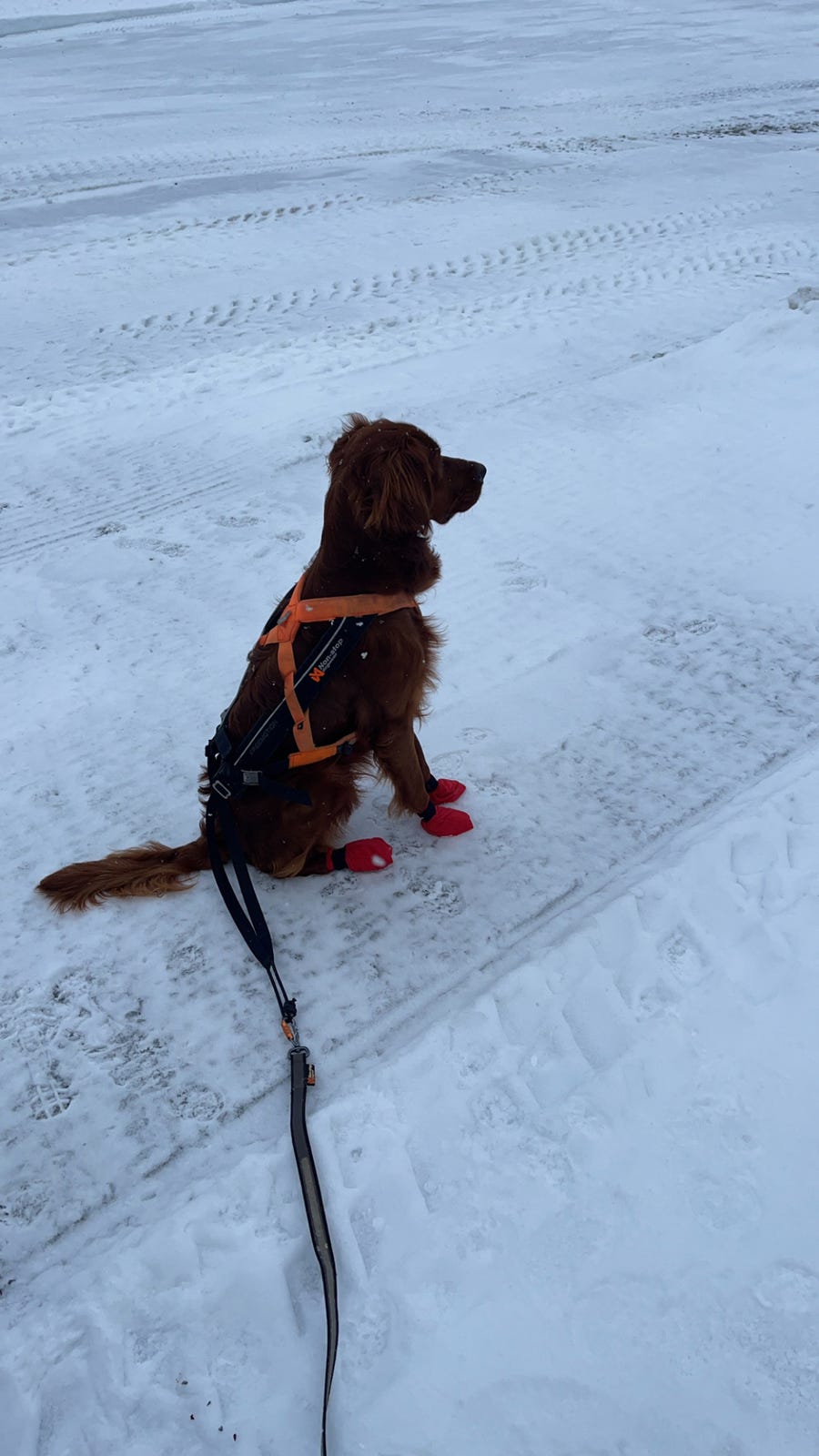 Non stop freemotion 5.0 | FINN-torget