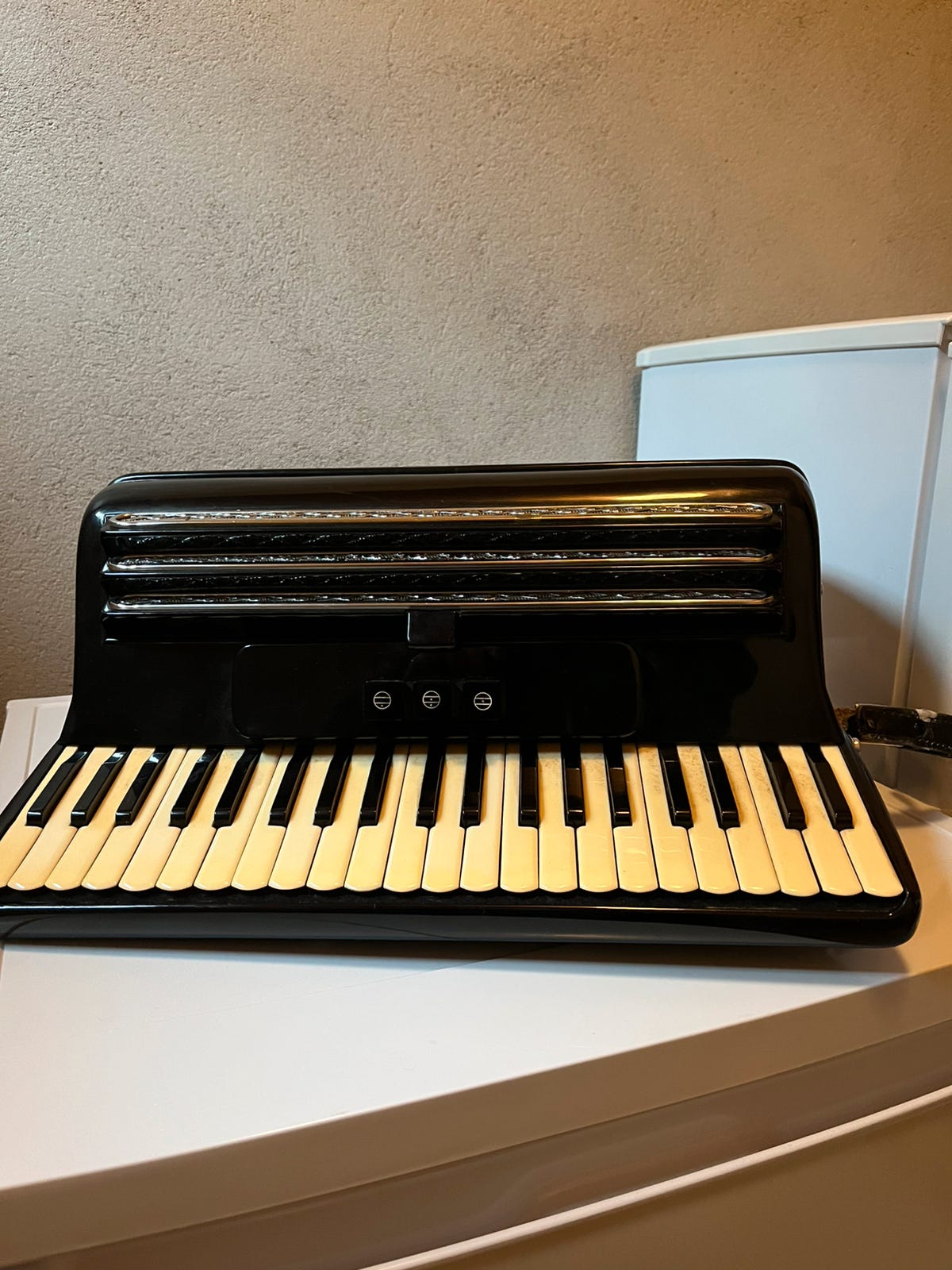 Melotone trekkspill fra Bugari | FINN-torget