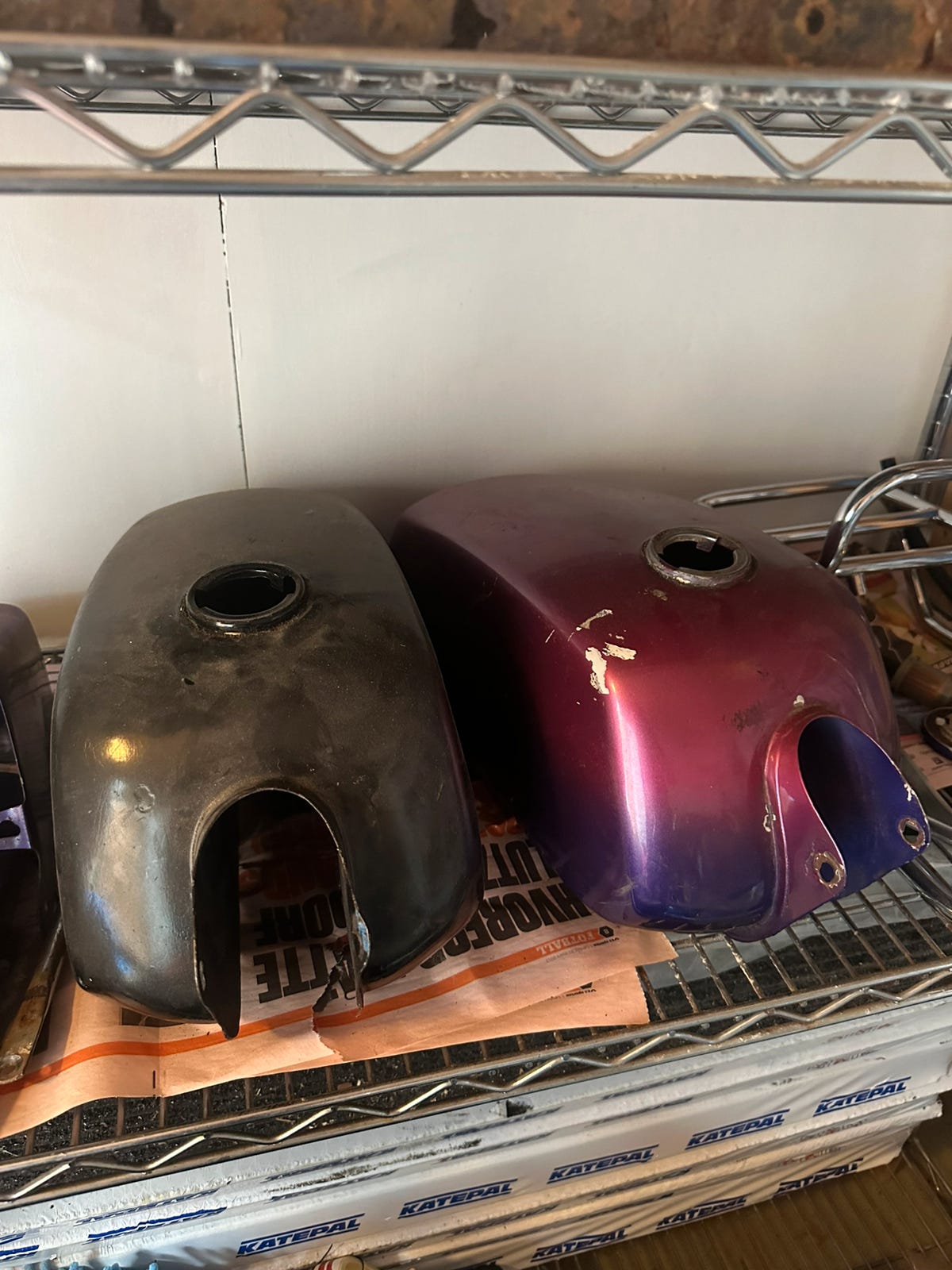 Tempo panter deler | FINN-torget