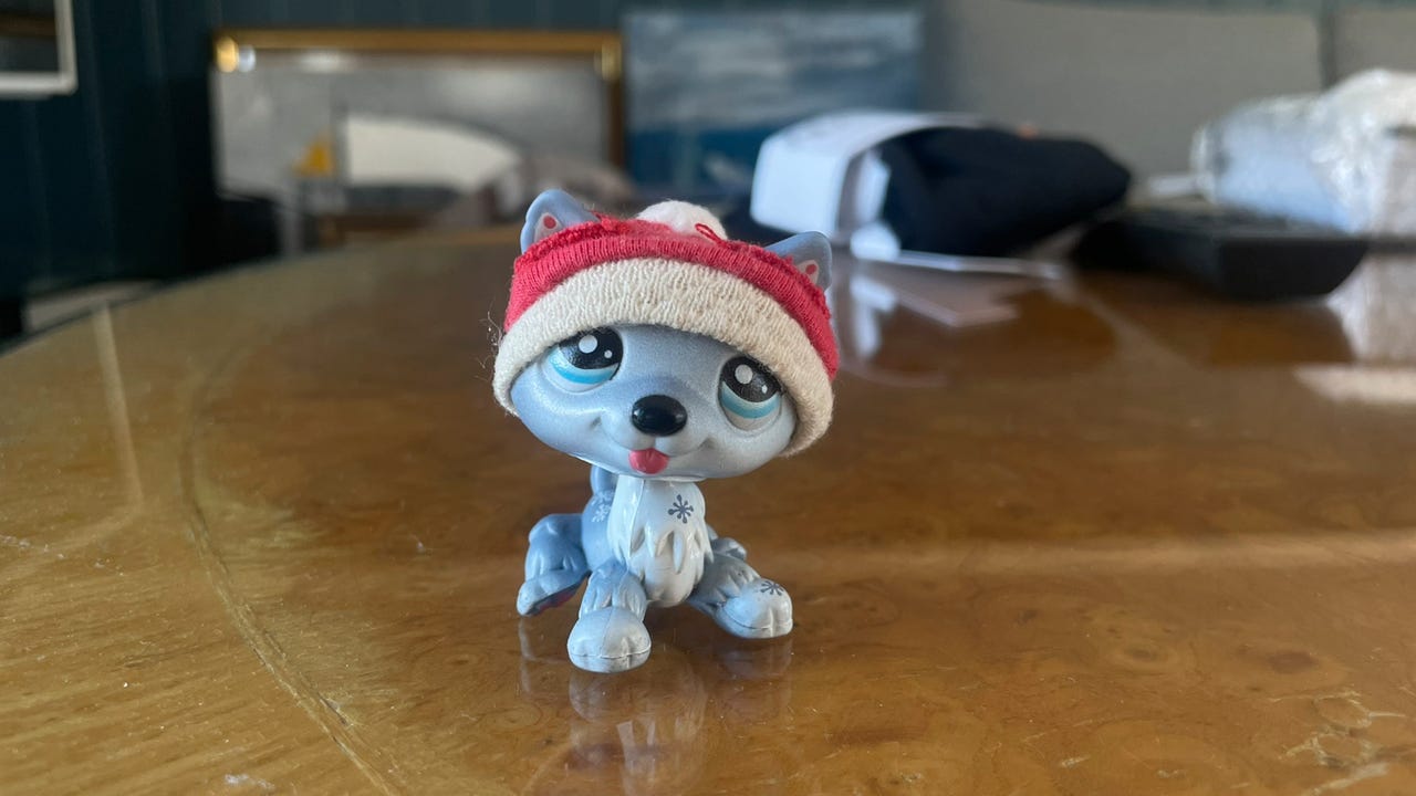 Littlest Pet Shop LPS #1617 Husky Blythe hund med hatt | FINN-torget