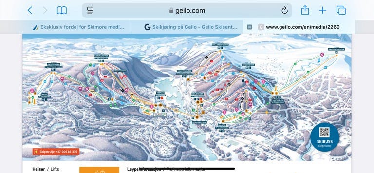 Dagskort /Heiskort Geilo | FINN-torget