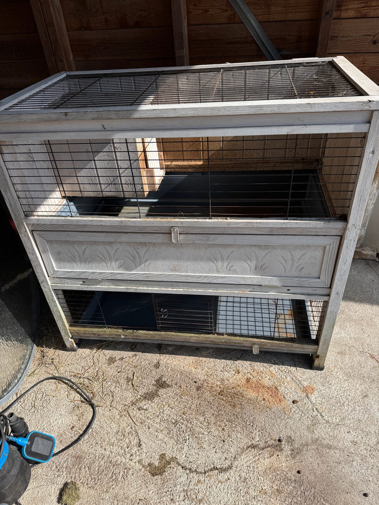 Kanin/marsvin bur | FINN-torget