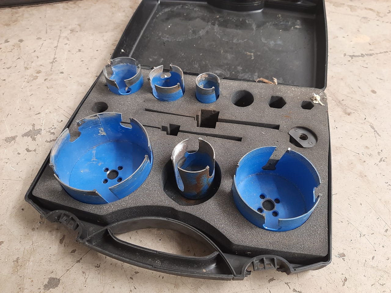 Hullbor | FINN-torget