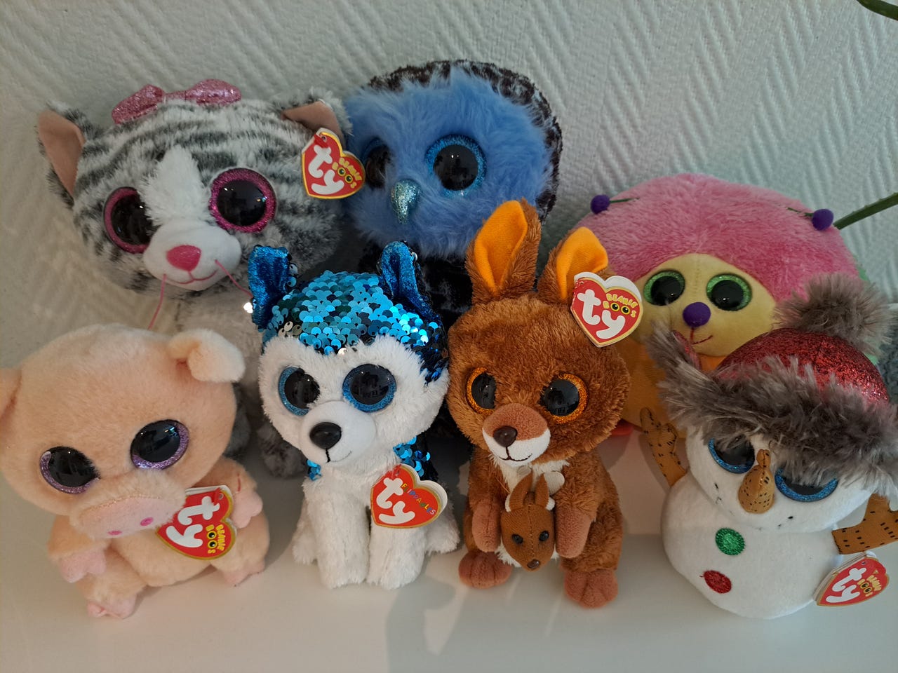 Kjempefine TY bamser! | FINN-torget