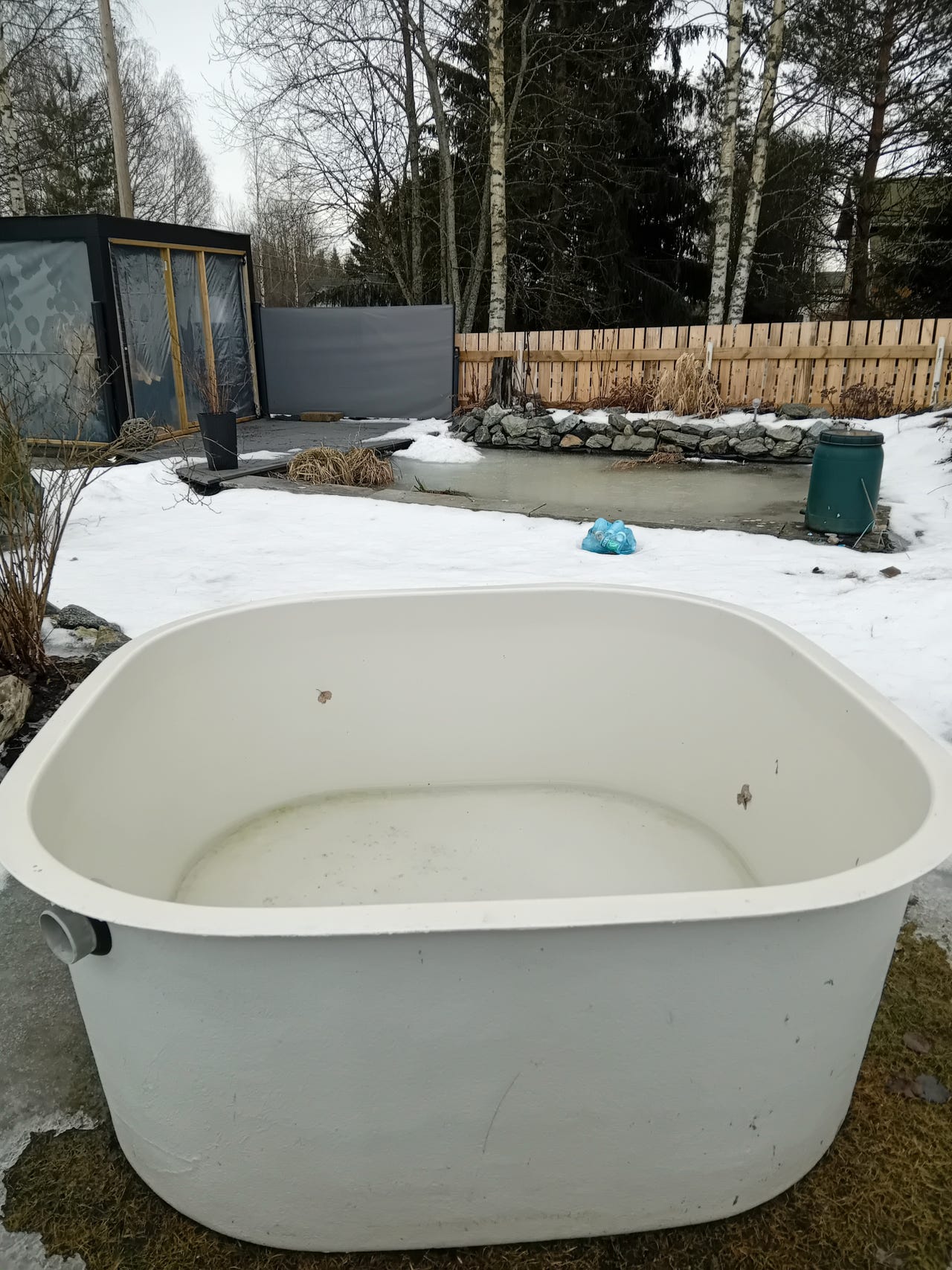 selger dam / koikar | FINN-torget