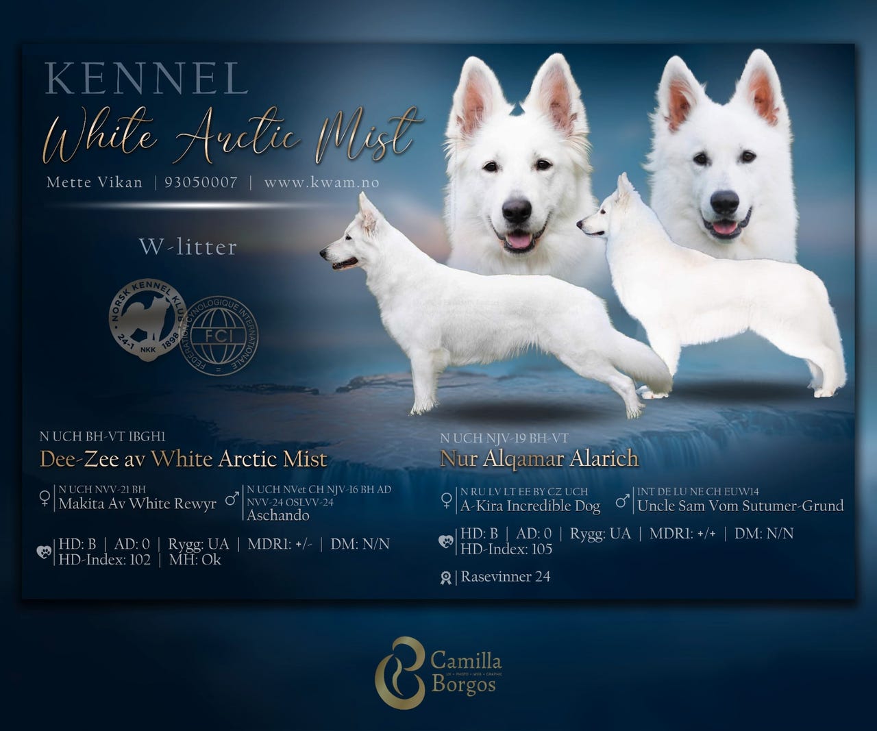 Hvit gjeterhundvalper ventes | FINN-torget