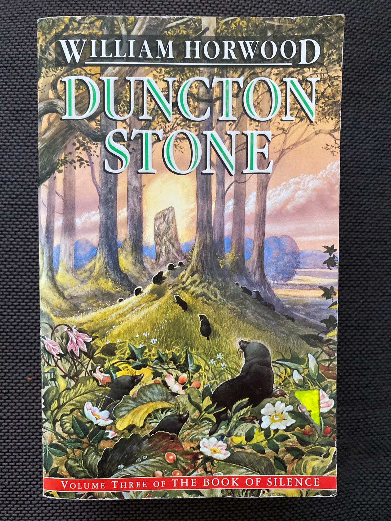 DUNCTON STONE - William Horwood | FINN-torget