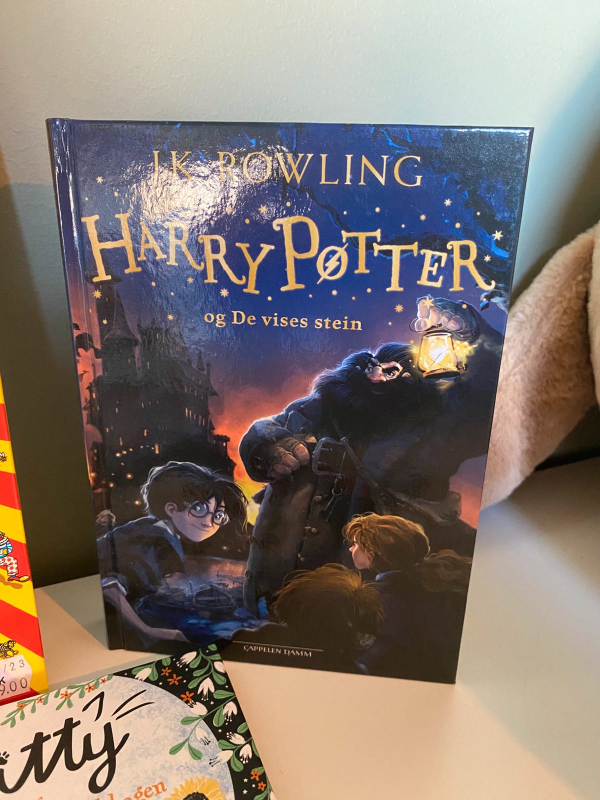 Harry Potter og De vises stein - selges | FINN-torget