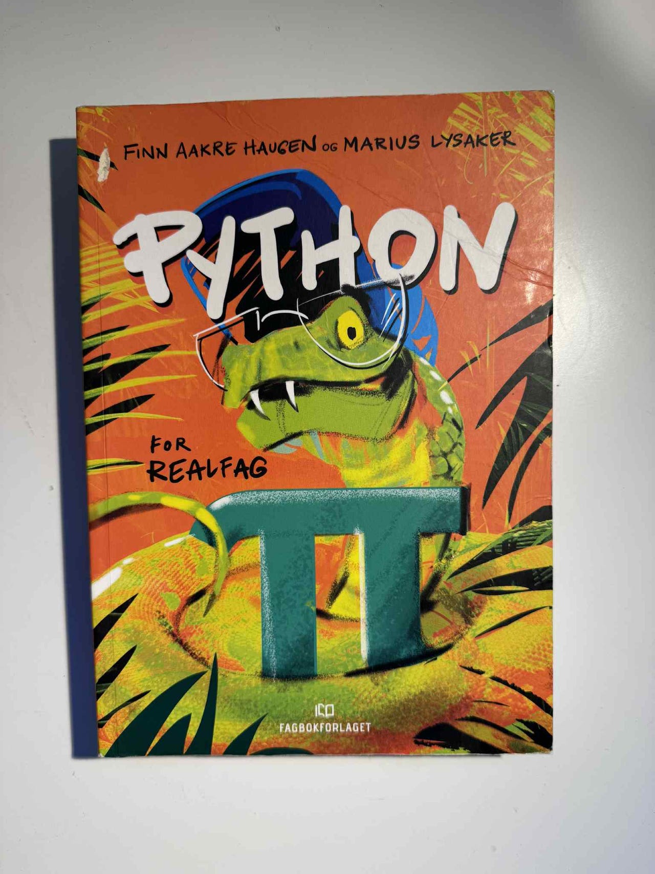 Python for Realfag Lærebok | FINN-torget